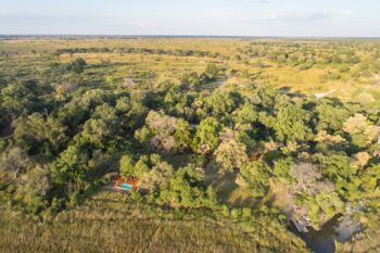 Camp Moremi - Okavango Delta