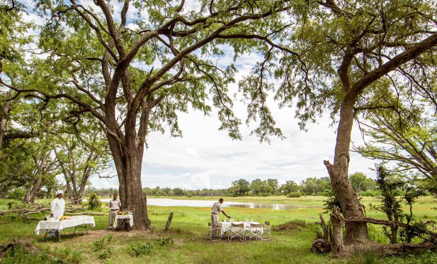 Camp Moremi - Okavango Delta