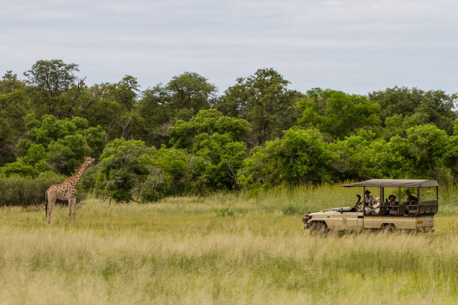 Camp Moremi - Okavango Delta