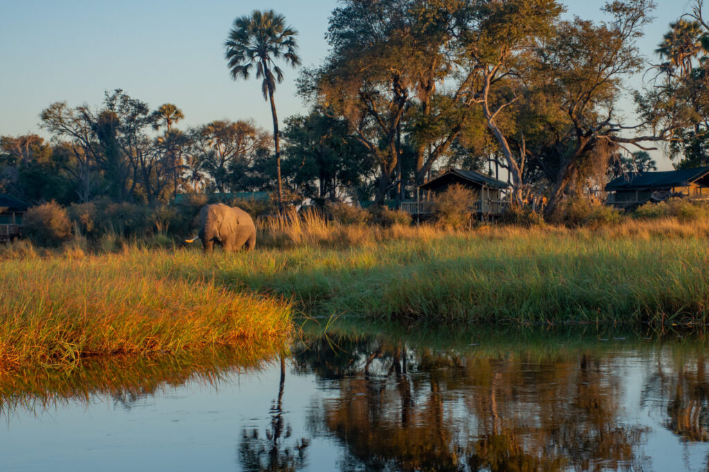 Moremi Crossing - Okavango Delta