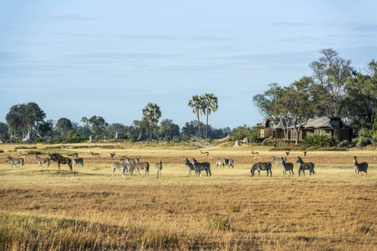 Xigera Safari Lodge - Okavango Delta