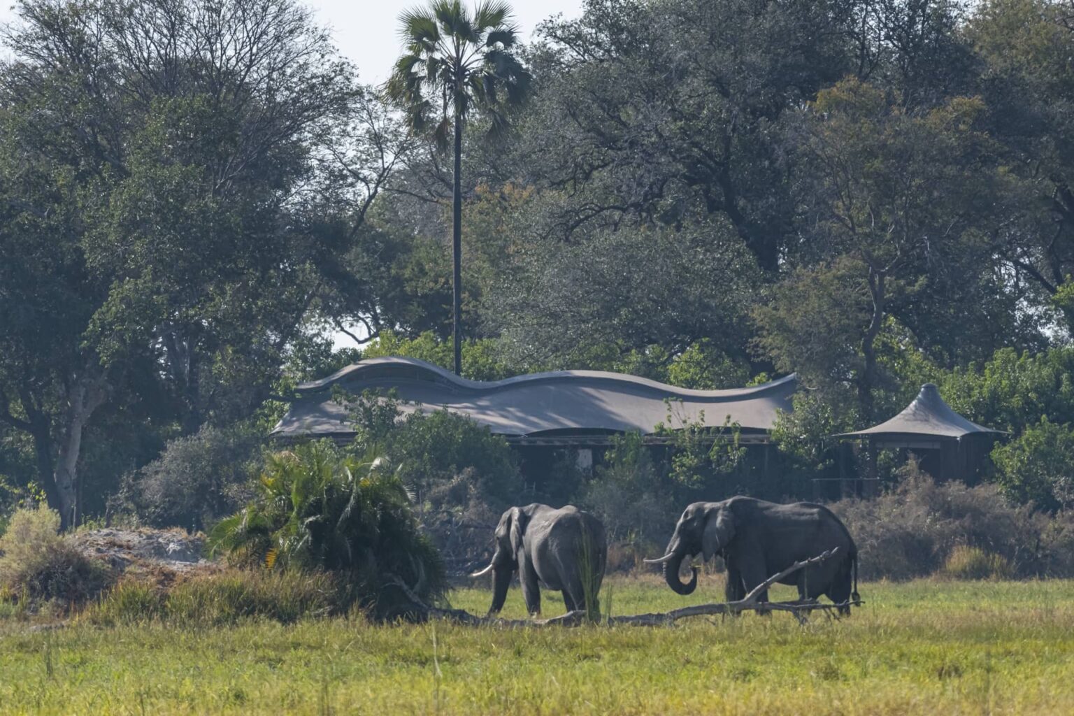 Xigera Safari Lodge - Okavango Delta