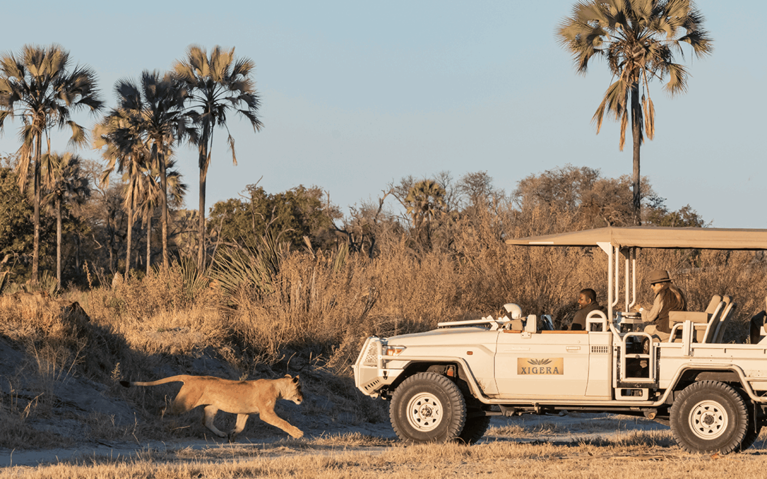 Xigera Safari Lodge - Okavango Delta