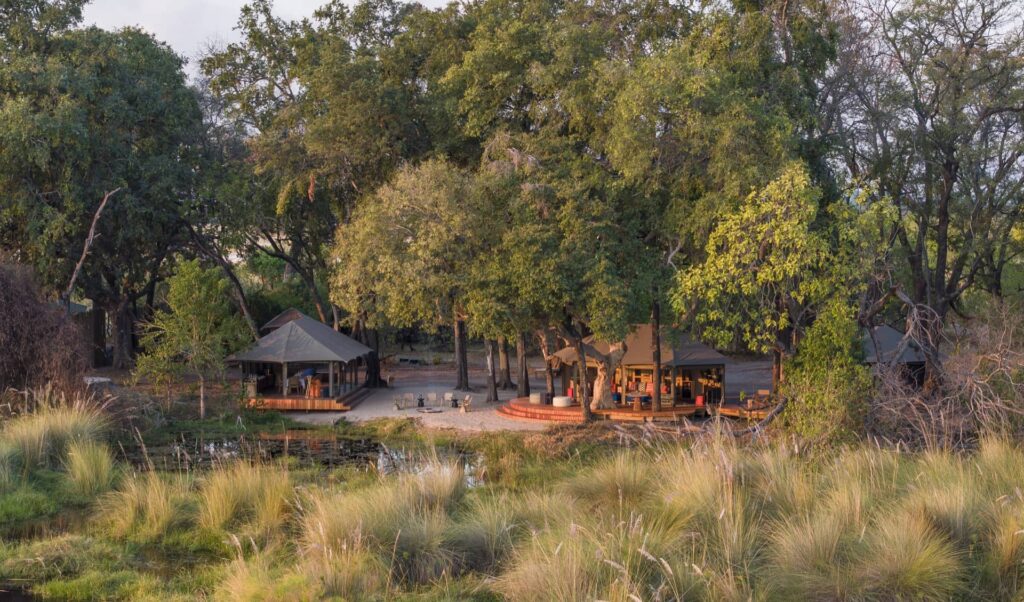 Shinde Footsteps - Okavango Delta