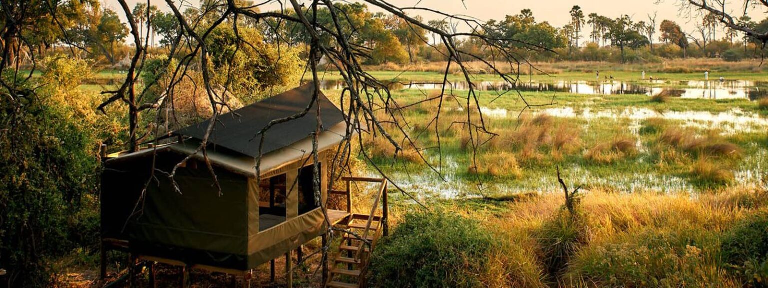 Oddballs Camp - Okavango Delta