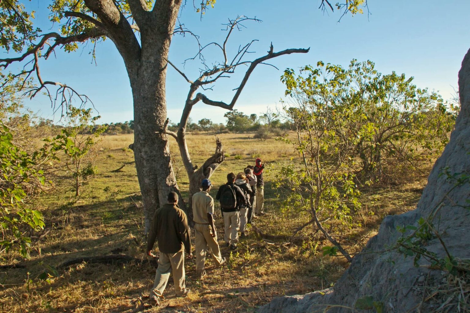 Oddballs Camp - Okavango Delta