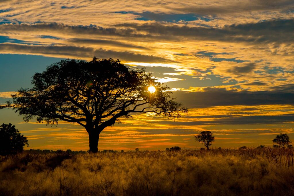 What weather to expect in Botswana? - Okavango Delta