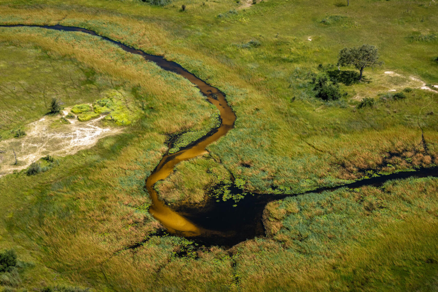Okavango Delta Flood 2026: A Big, Beautiful Year Ahead in Botswana ...