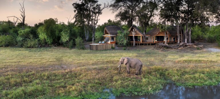 Tawana Camp - Okavango Delta